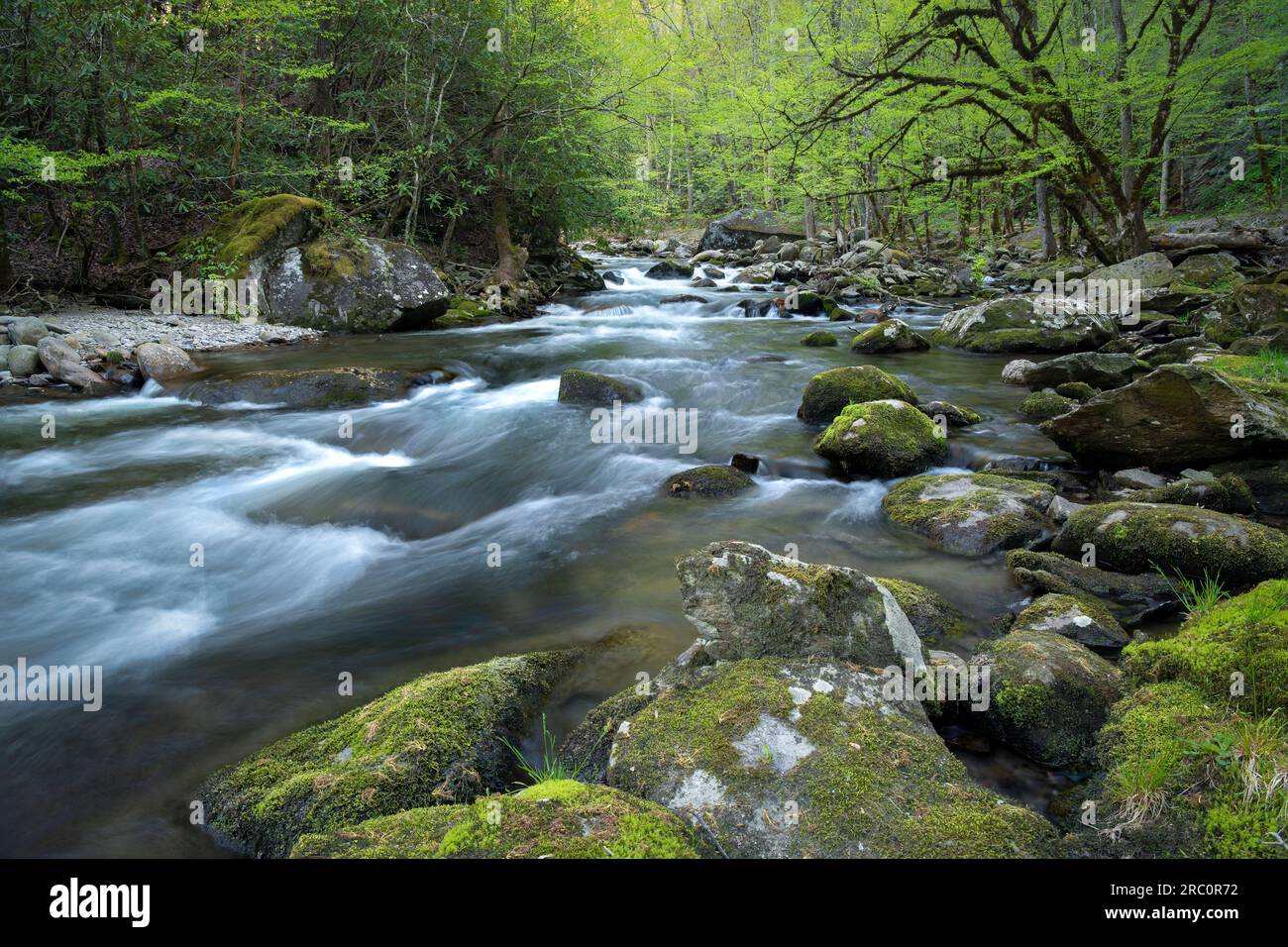 Middle Prong Little River, Great Smoky Mountains National Park, April ...