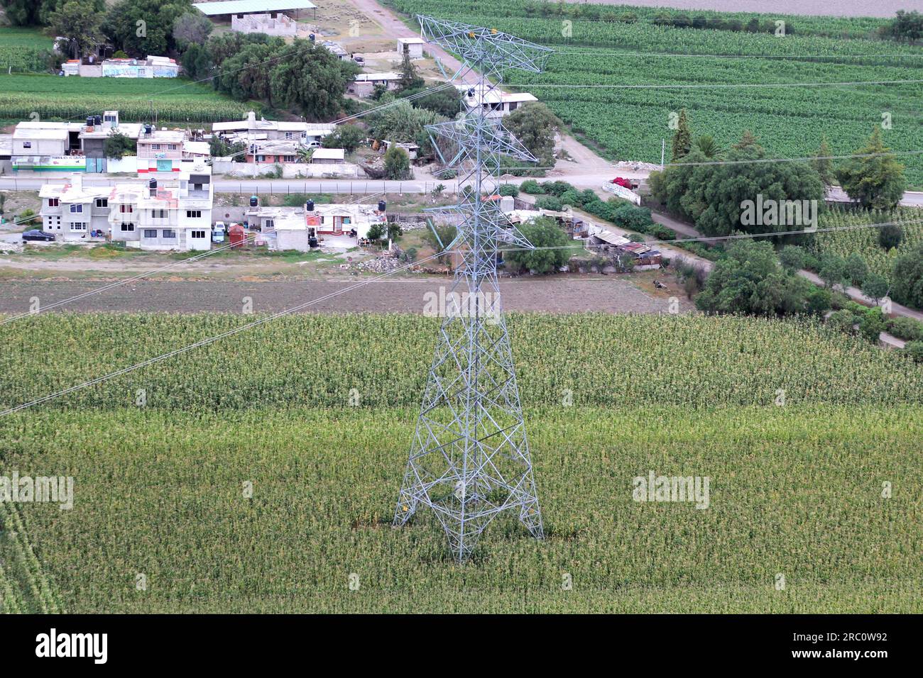 View of electric tower and high voltage cables in the middle of green ...