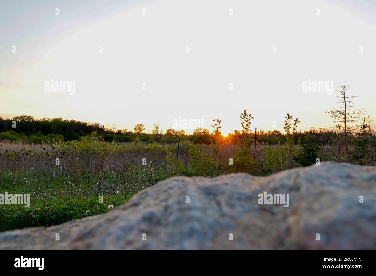 Field rock hi-res stock photography and images - Alamy