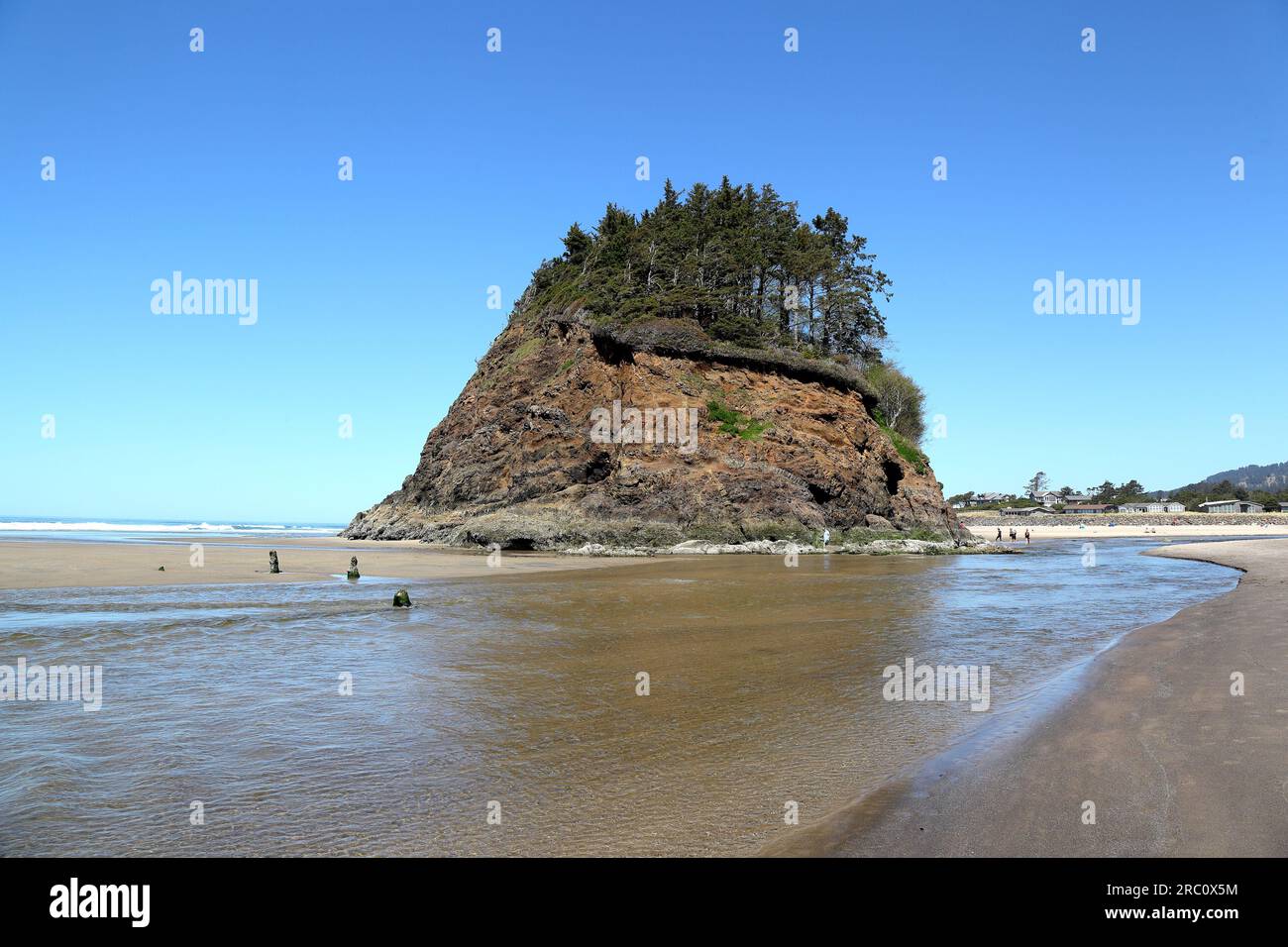 Along the Oregon Coast: Neskowin Ghost Forest on Neskowin Beach ...