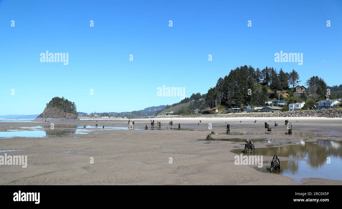 Along the Oregon Coast: Neskowin Ghost Forest on Neskowin Beach ...