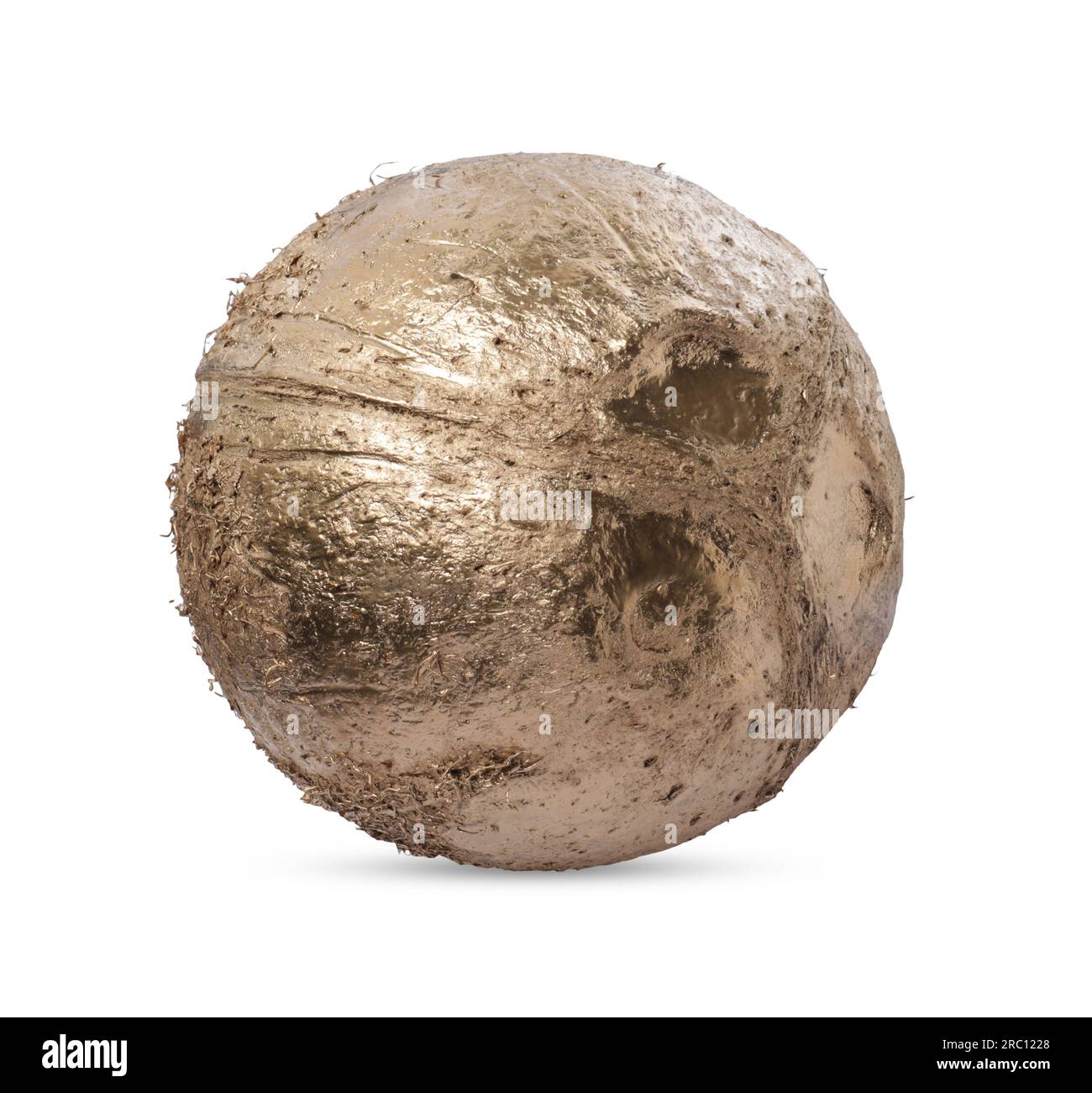 Shiny stylish gold coconut on white background Stock Photo - Alamy