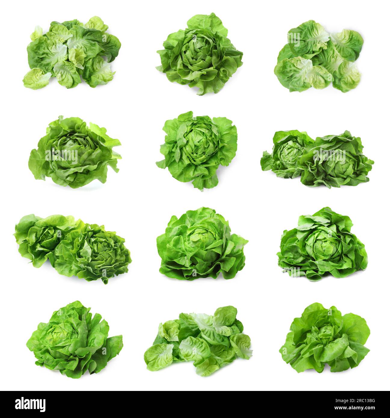 Set of fresh butterhead lettuce on white background, different views ...