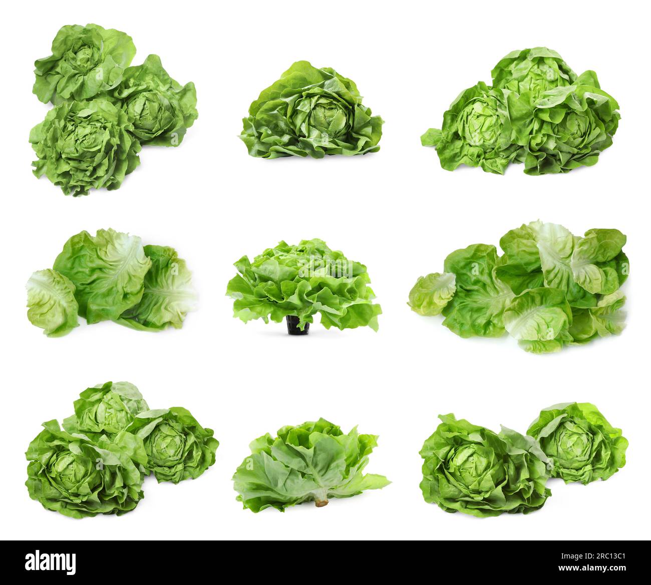 Set of fresh butterhead lettuce on white background, different views ...