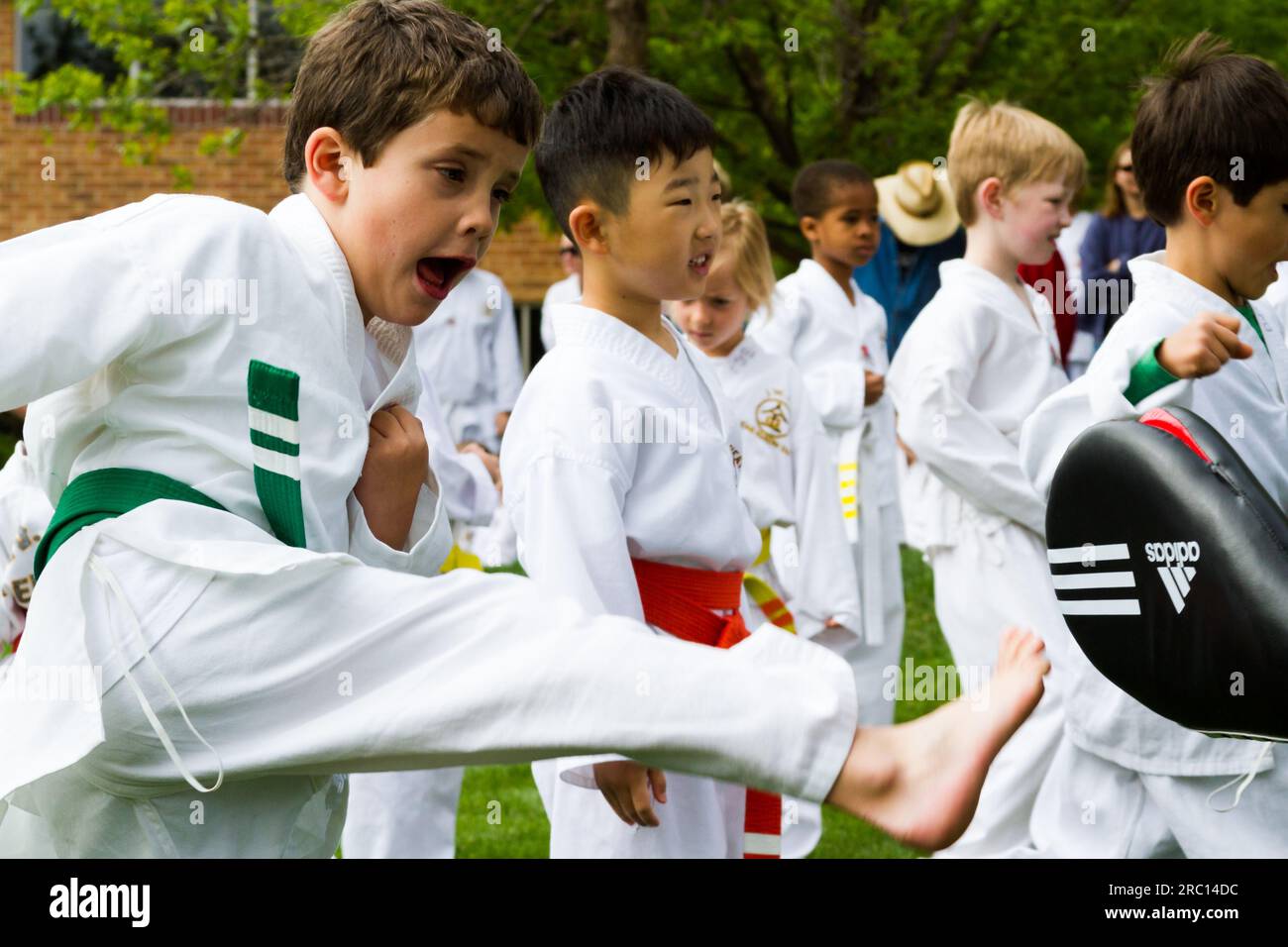 Tae Kwon Do Stock Photo - Alamy