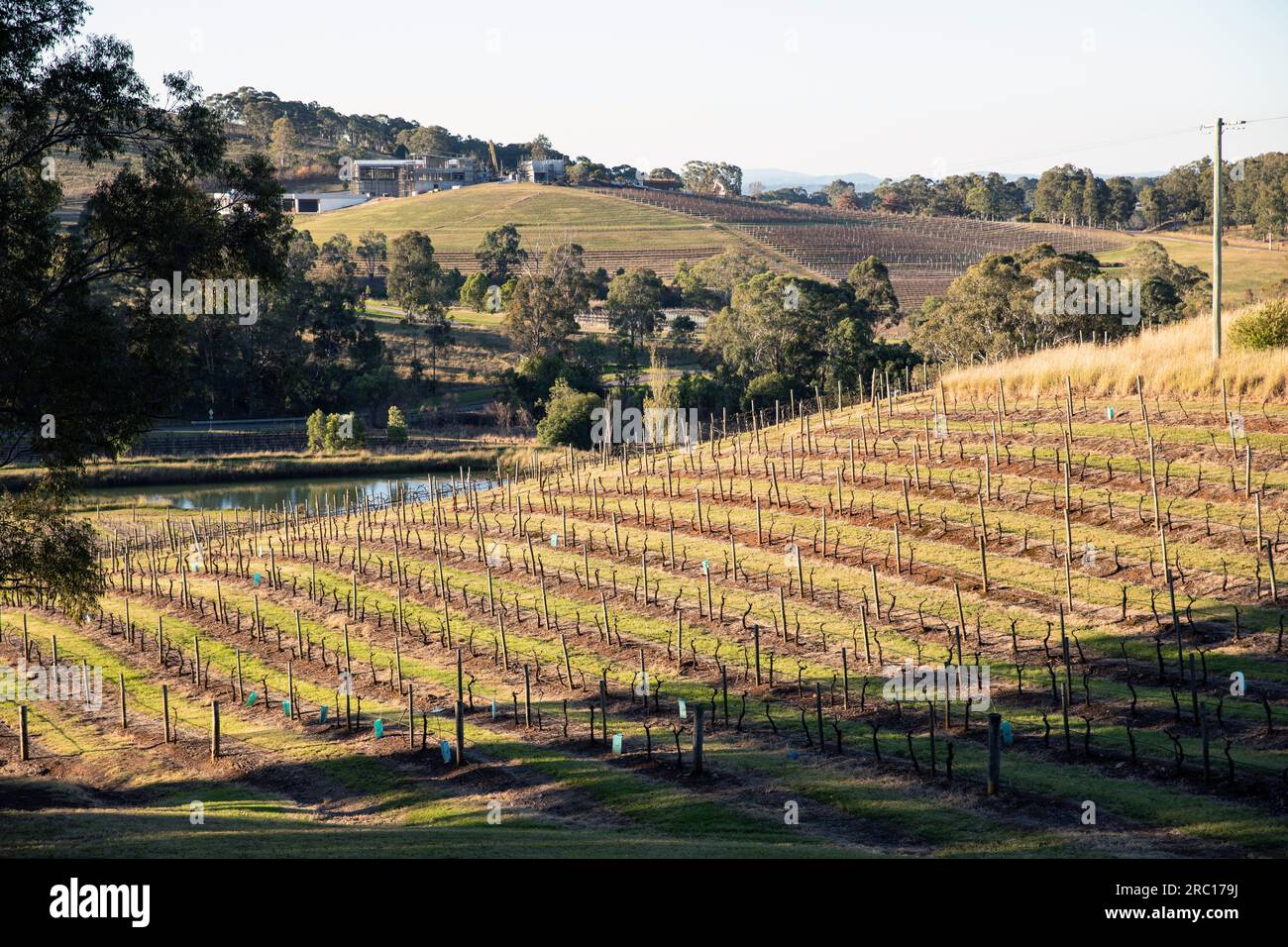 Hunter Valley, NSW, Australia Stock Photo - Alamy