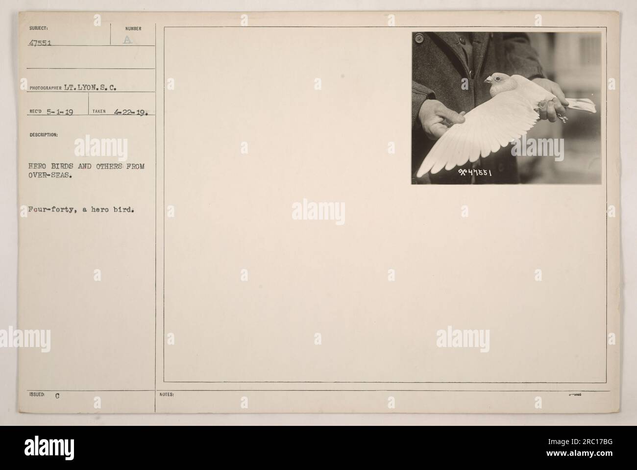 American military personnel posing with a trained messenger pigeon ...