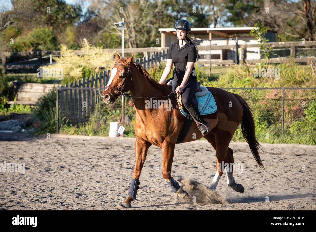Girl learning to ride a Horse Stock Photo - Alamy