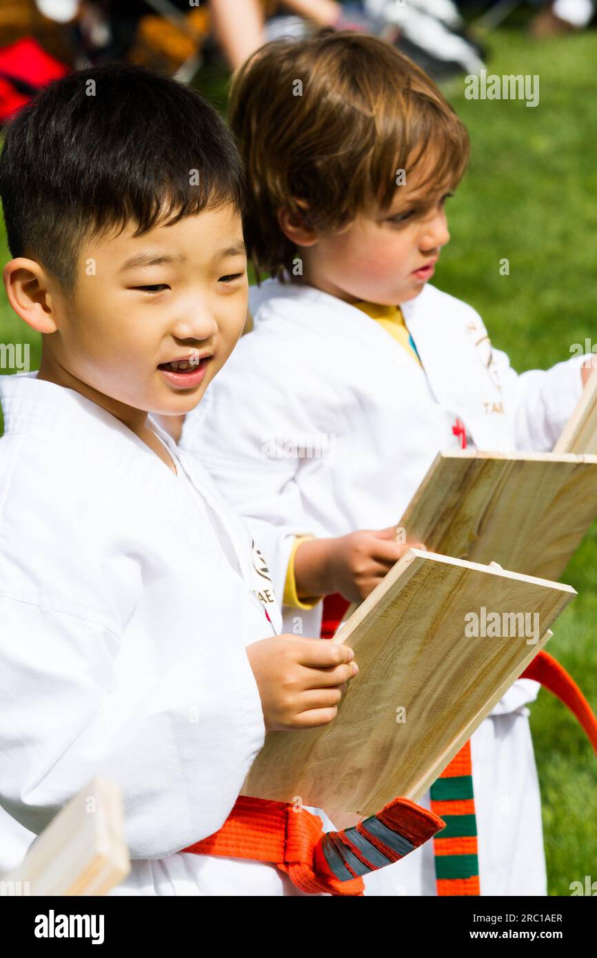 Tae Kwon Do Stock Photo - Alamy