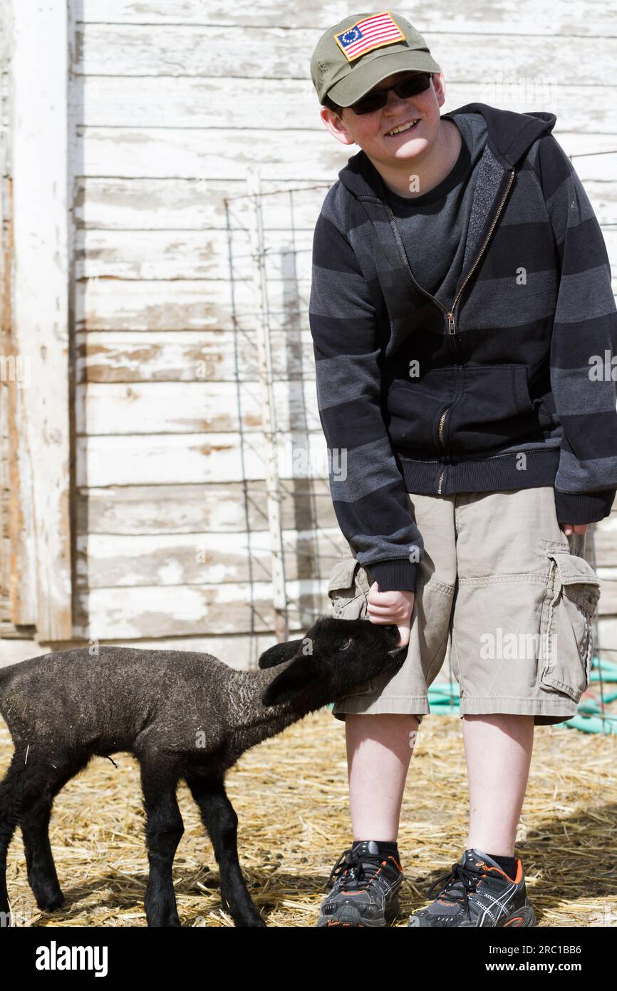 Baby s suffolk hi-res stock photography and images - Alamy