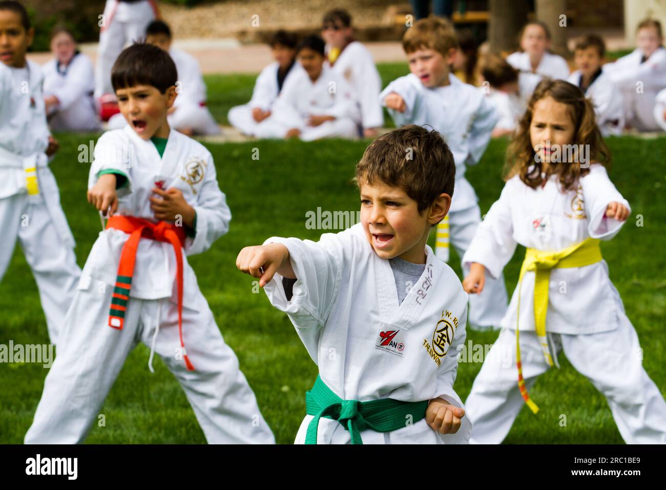 Tae Kwon Do Stock Photo - Alamy
