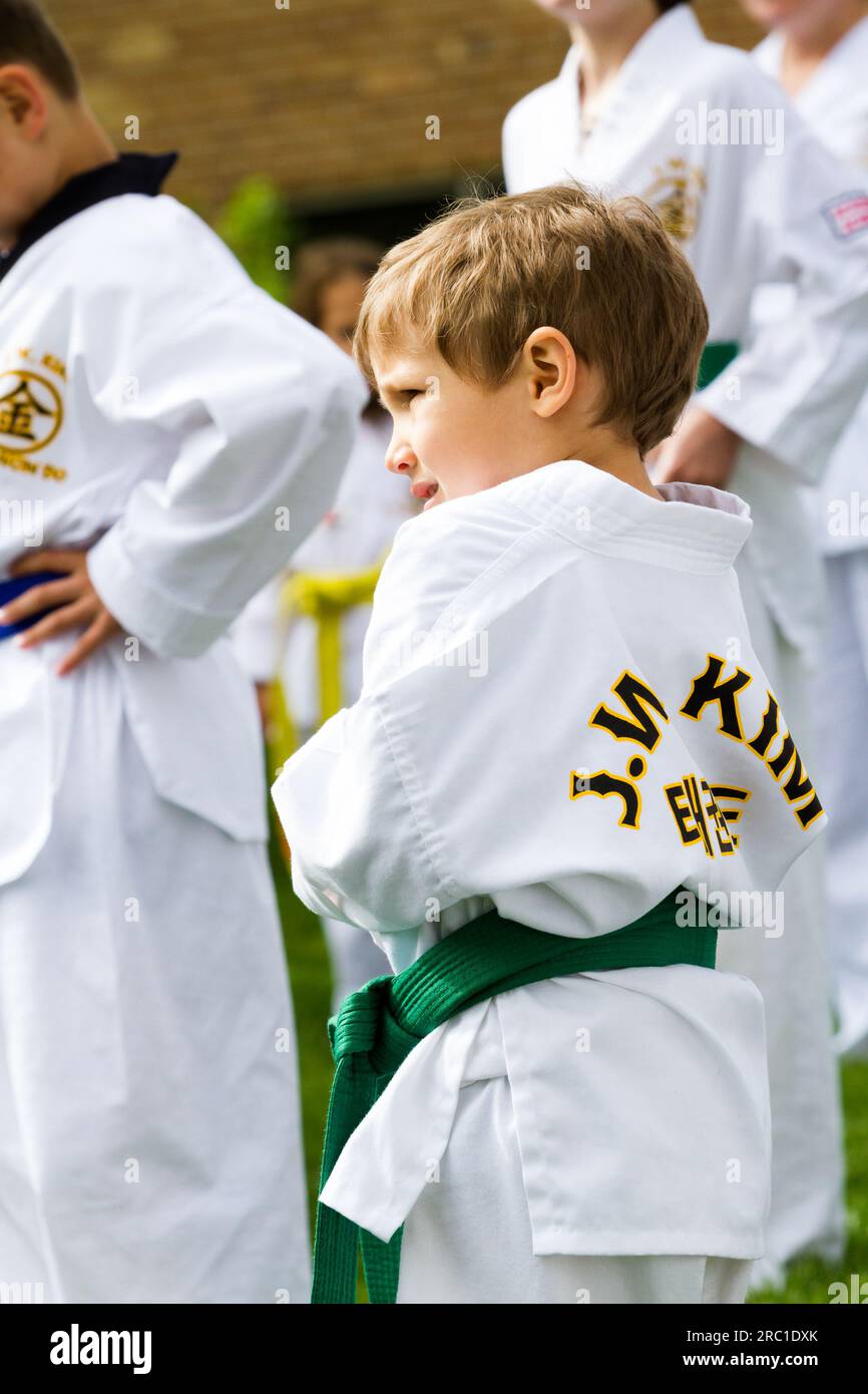 Tae Kwon Do Stock Photo - Alamy