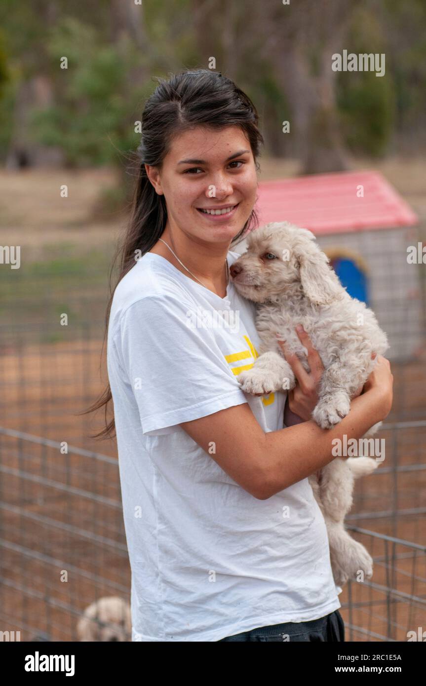 Young girl choosing a labradoodle puppy at a a dog breeding farm in ...