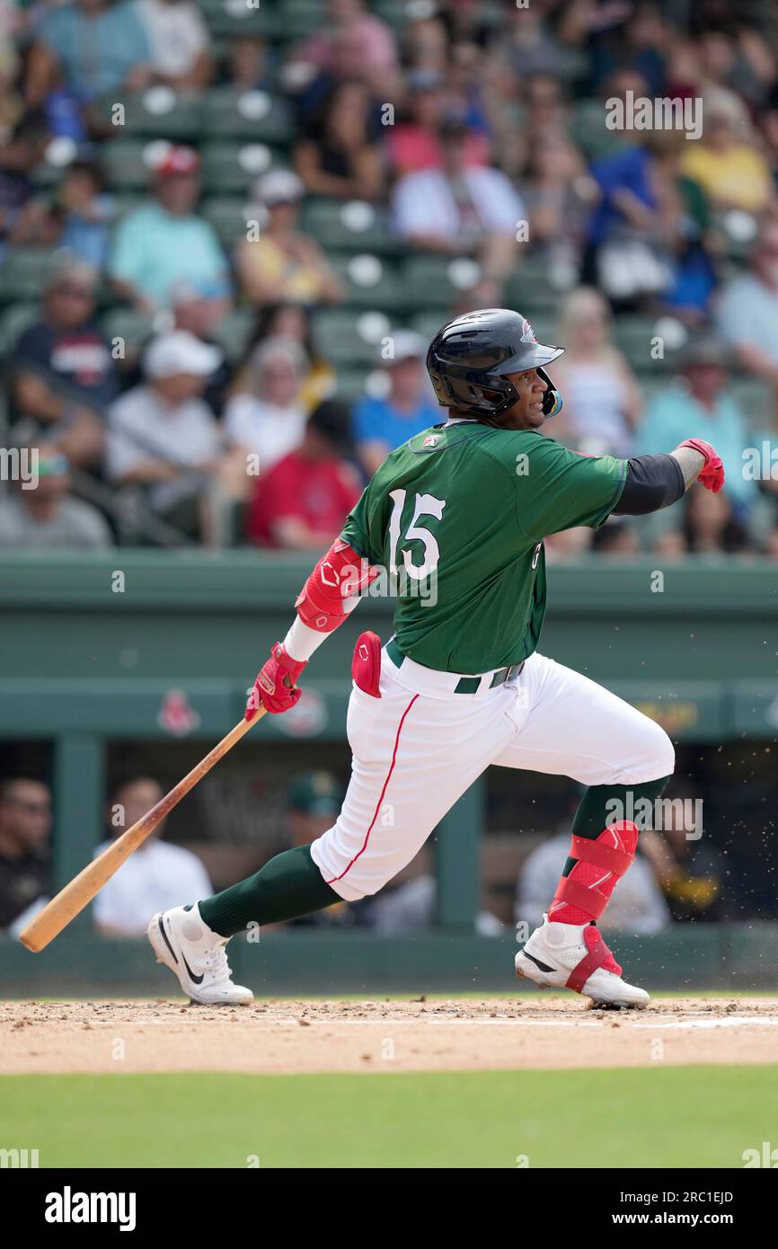 Right fielder Bryan Gonzalez (15) of the Greenville Drive bats in a ...