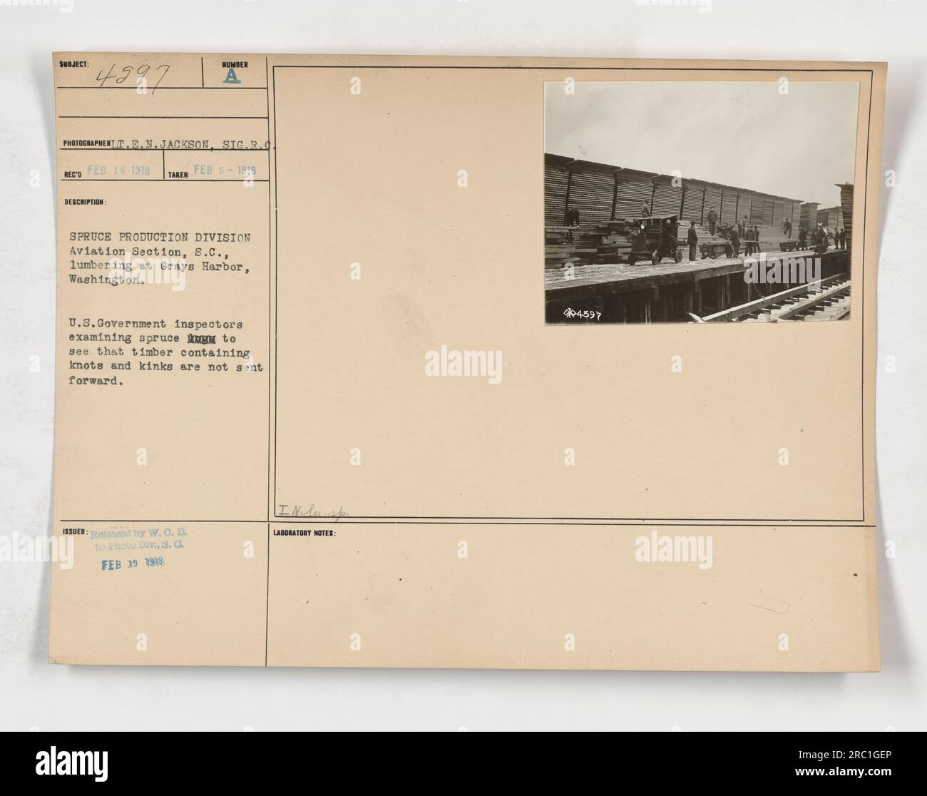 Spruce production division hi-res stock photography and images - Alamy