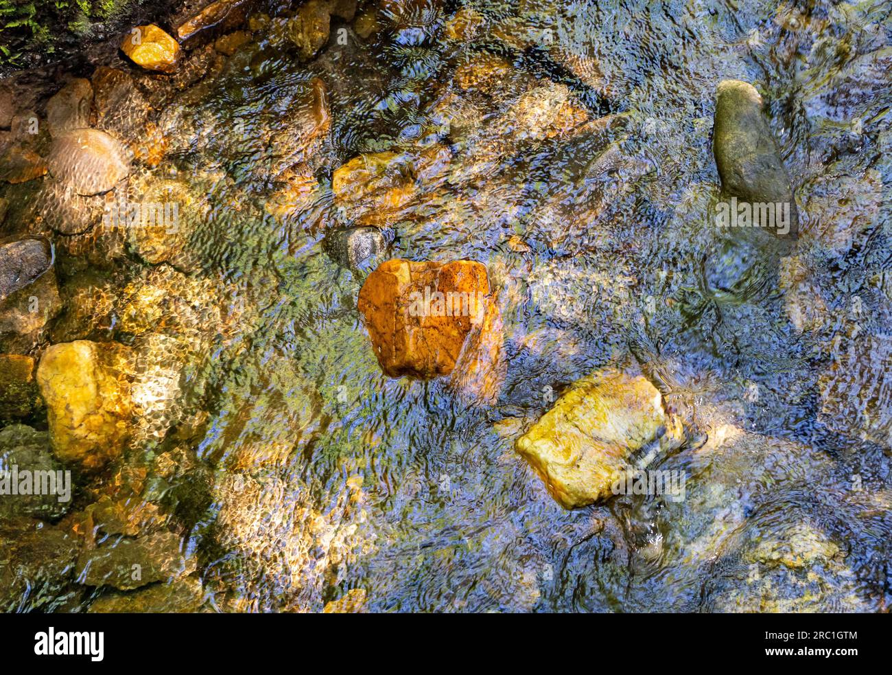 A shallow mountain creek washes crystal clear water over colorful rocks ...