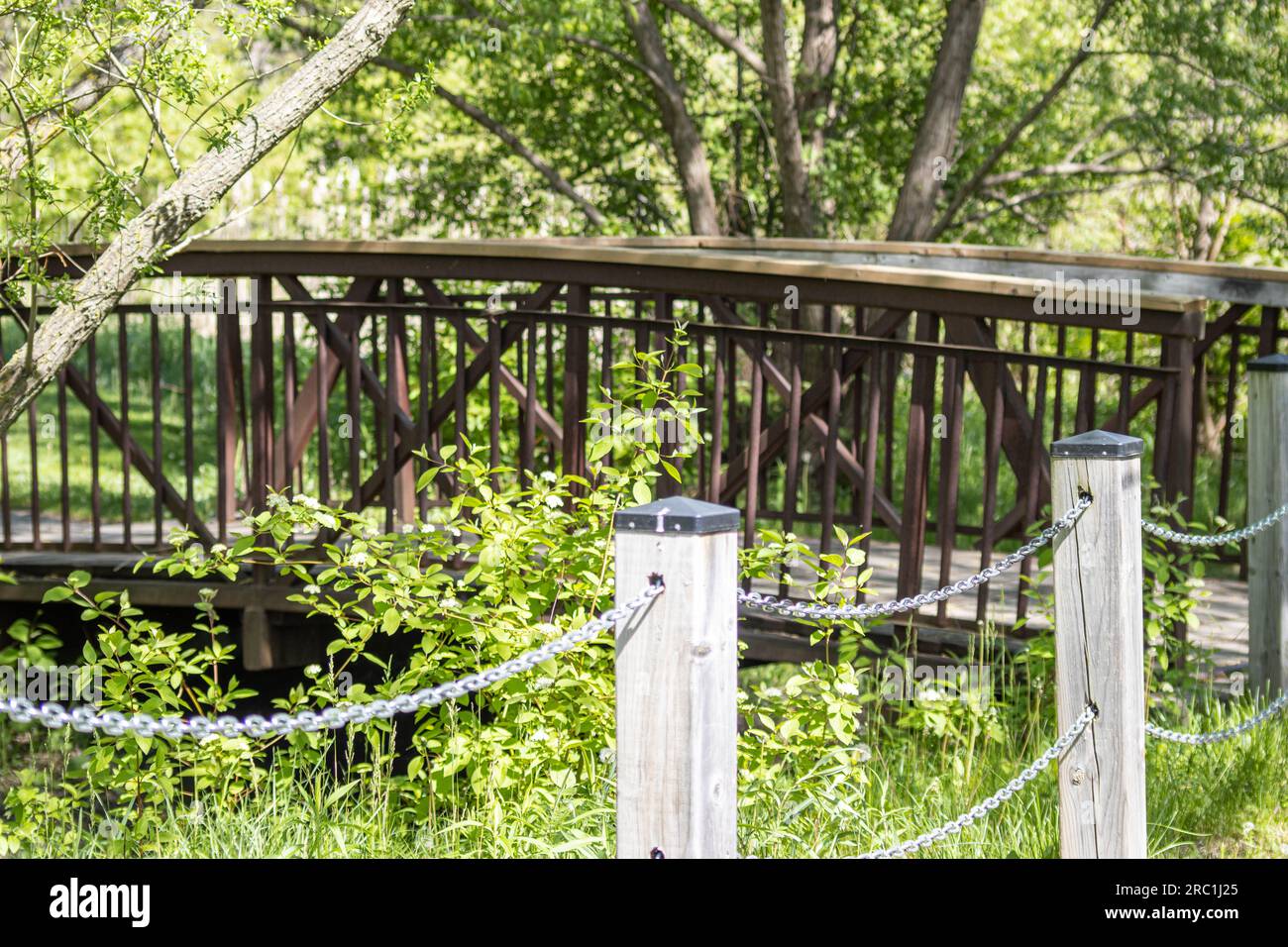 Wooden fence with wooden bridge in background - leaves - green ...