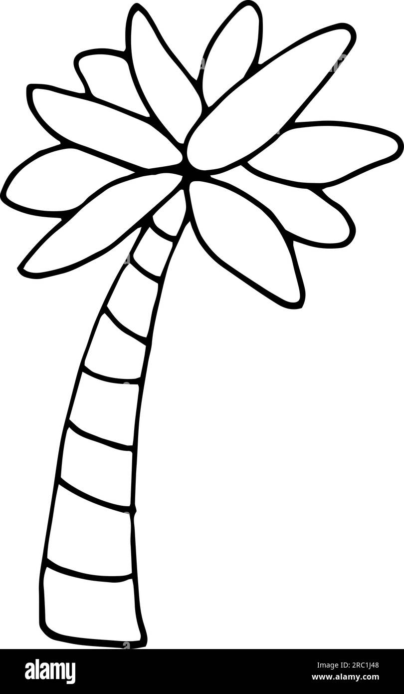 Hand-drawn cartoon palm tree, vector isolated illustration on white ...