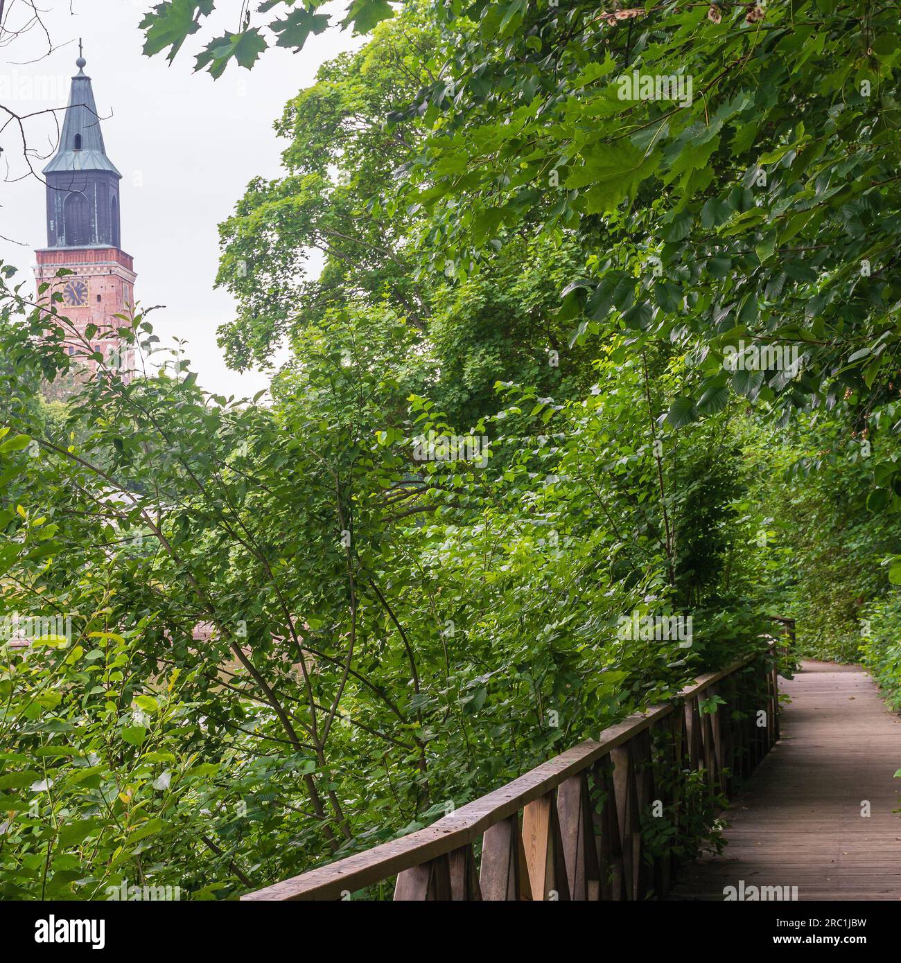 Cathedral bell tower behind trees in Turku Finland Stock Photo - Alamy