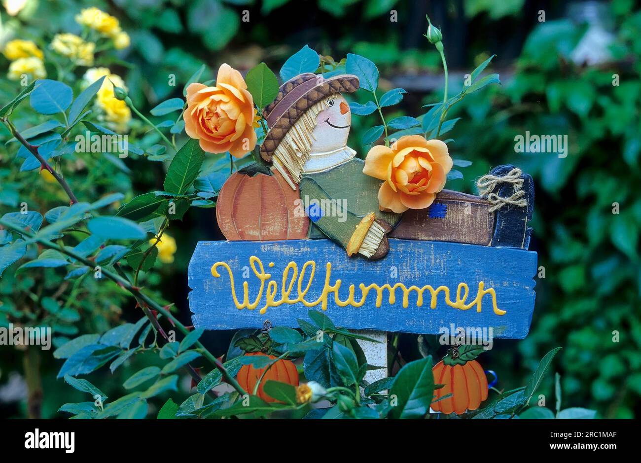 Garden sign with roses Stock Photo - Alamy