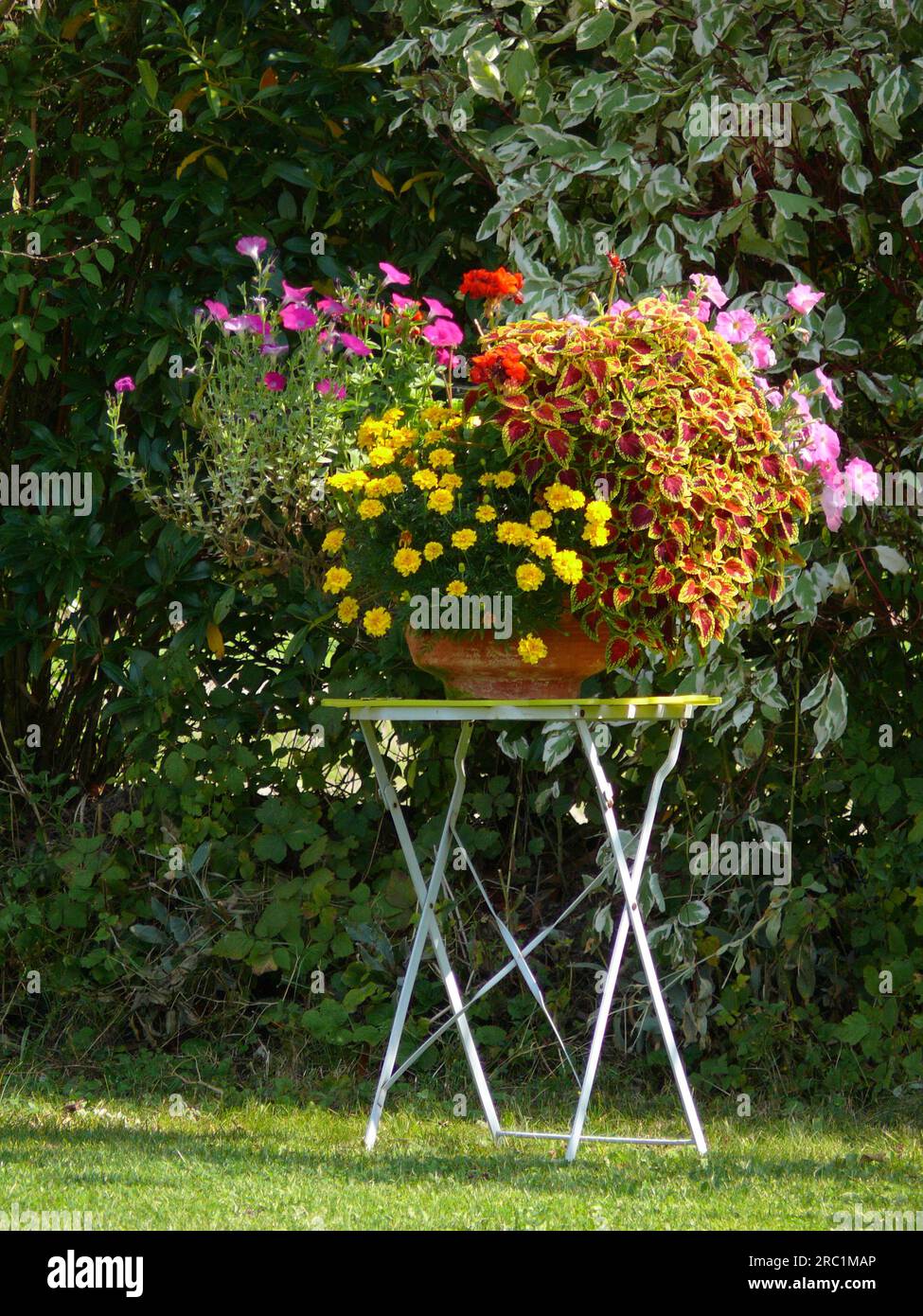 Garden table with flowers, flower pot Stock Photo - Alamy