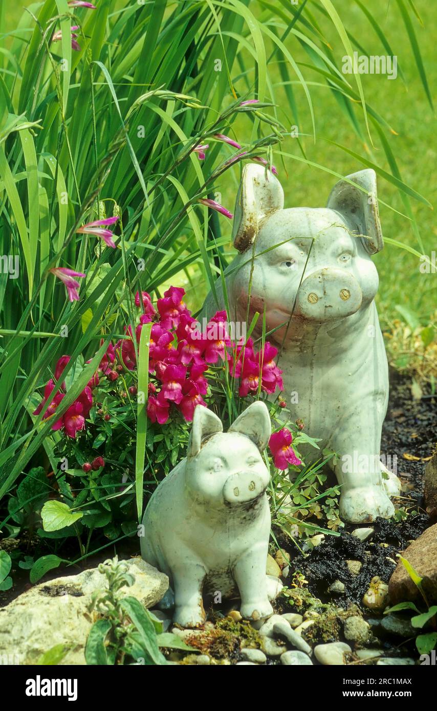 Garden figures: Pig family Stock Photo - Alamy