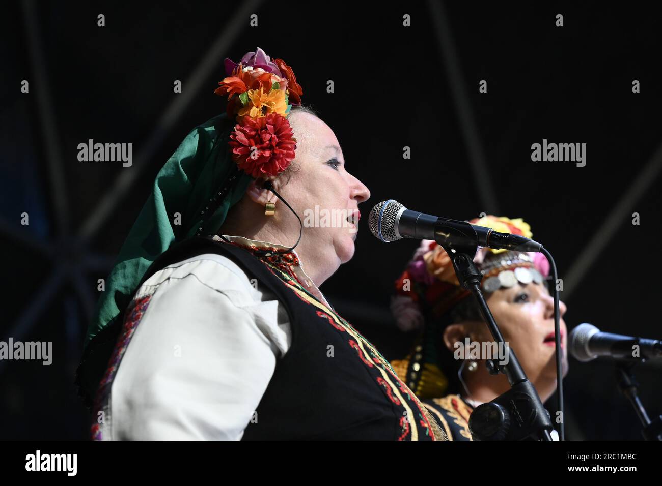 Ludmila radkova trajkova hi-res stock photography and images - Alamy