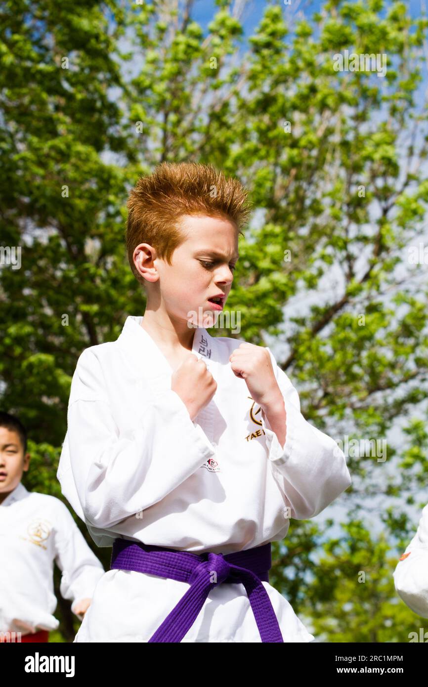 Tae Kwon Do Stock Photo - Alamy