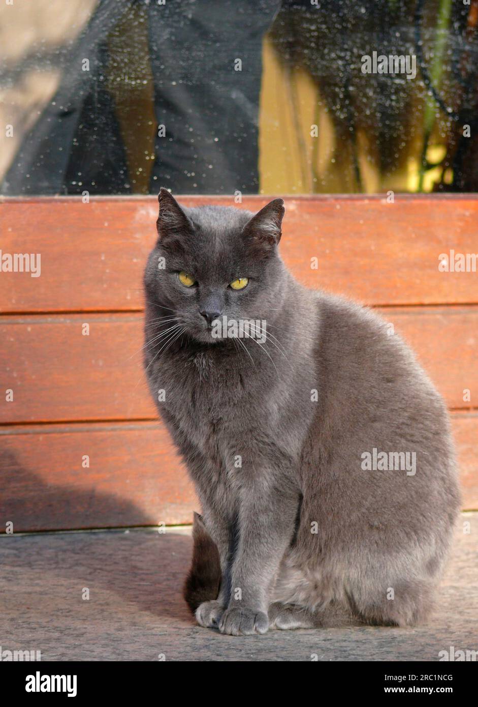 Solid colour hi-res stock photography and images - Alamy