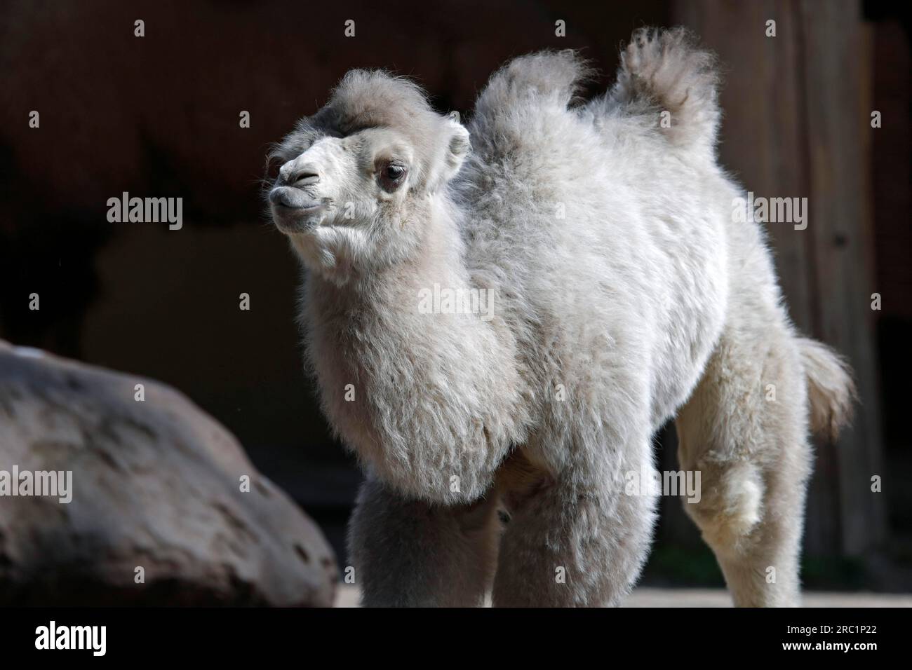 Predator farming hi-res stock photography and images - Alamy