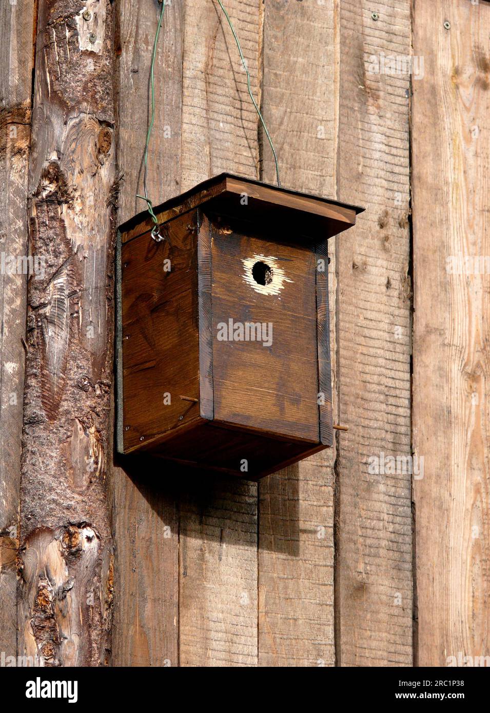Bird nesting box Stock Photo - Alamy