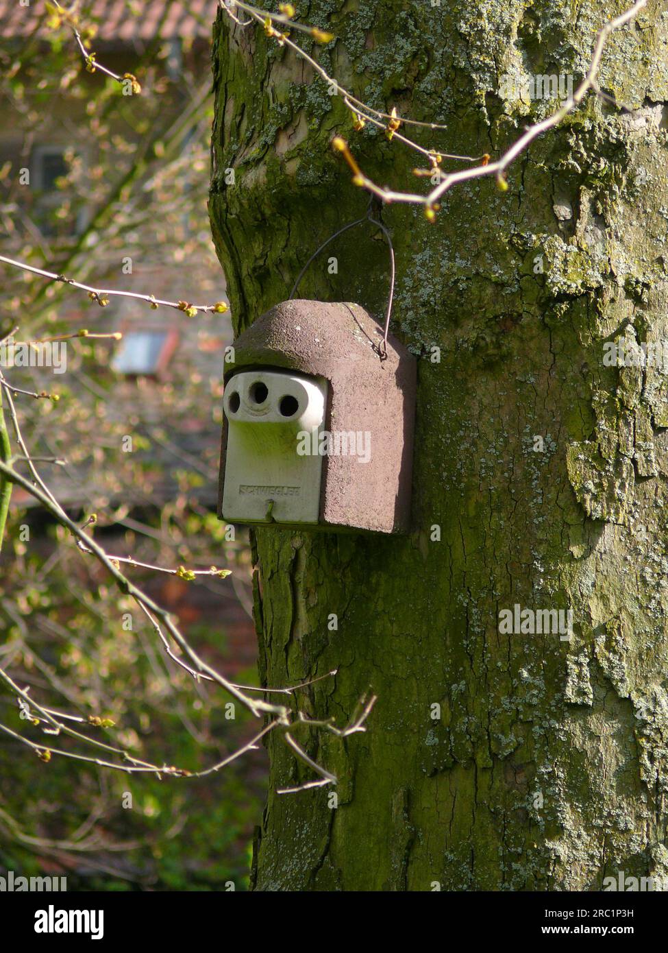 Tree nest box Stock Photo - Alamy
