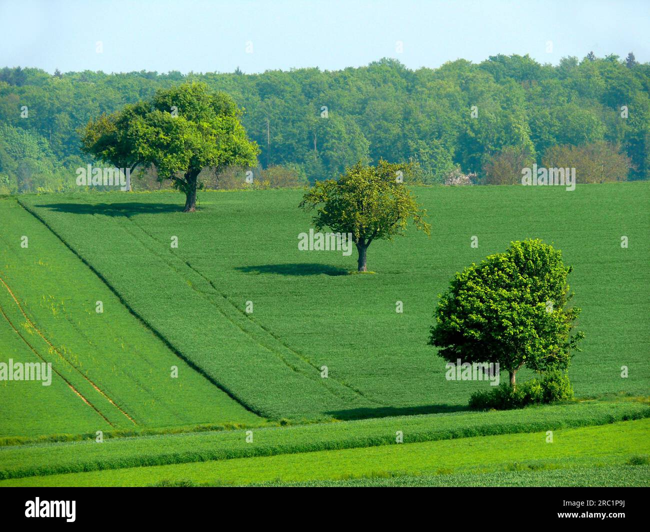 Tulip garden exterior hi-res stock photography and images - Alamy