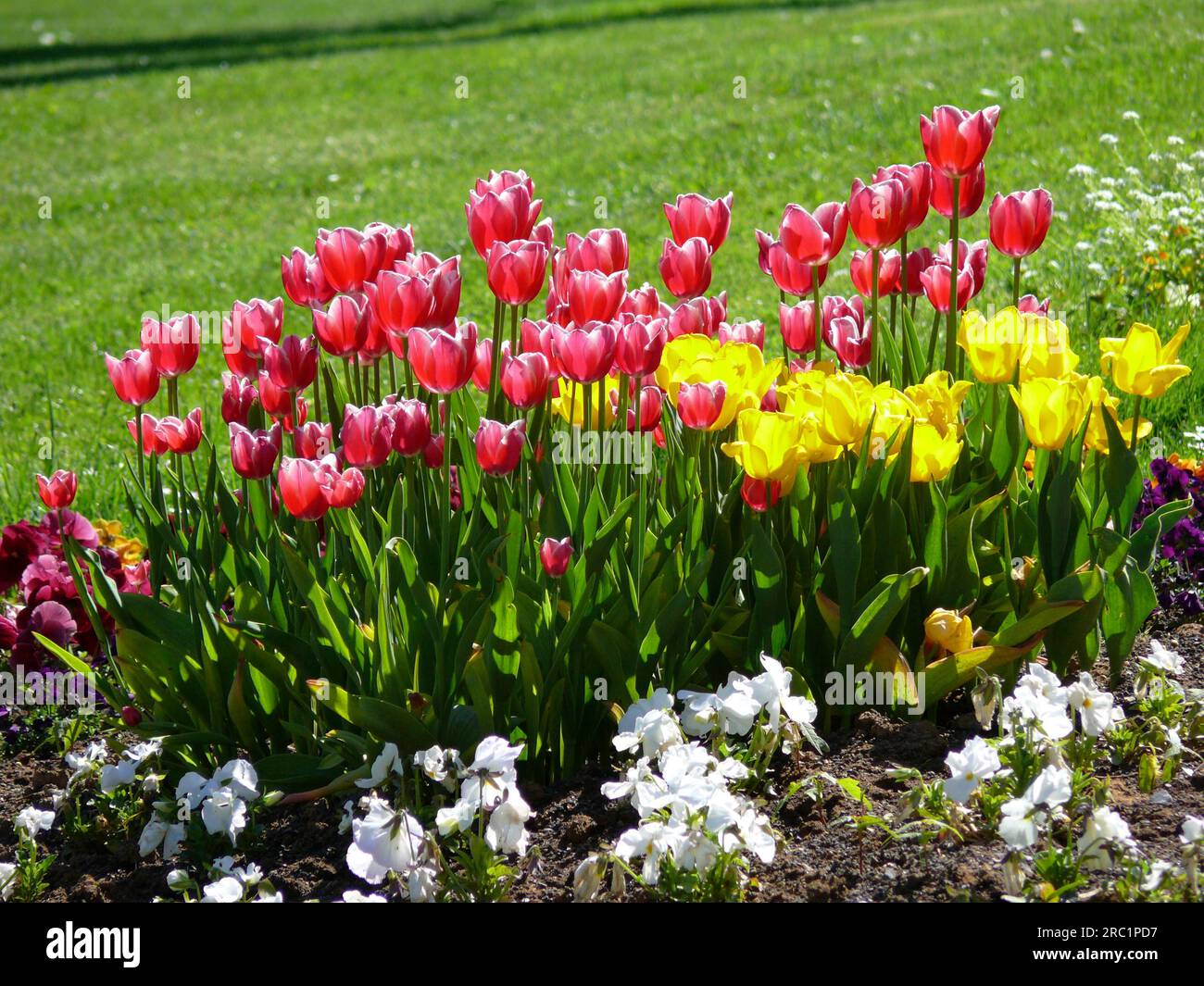 Bluehendes Barock Ludwigsburg, spring, tulip garden various spring ...