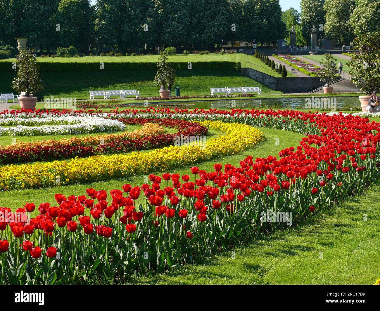 Bluehendes Barock Ludwigsburg, Spring, Flowerbeds, Tulips in bloom ...
