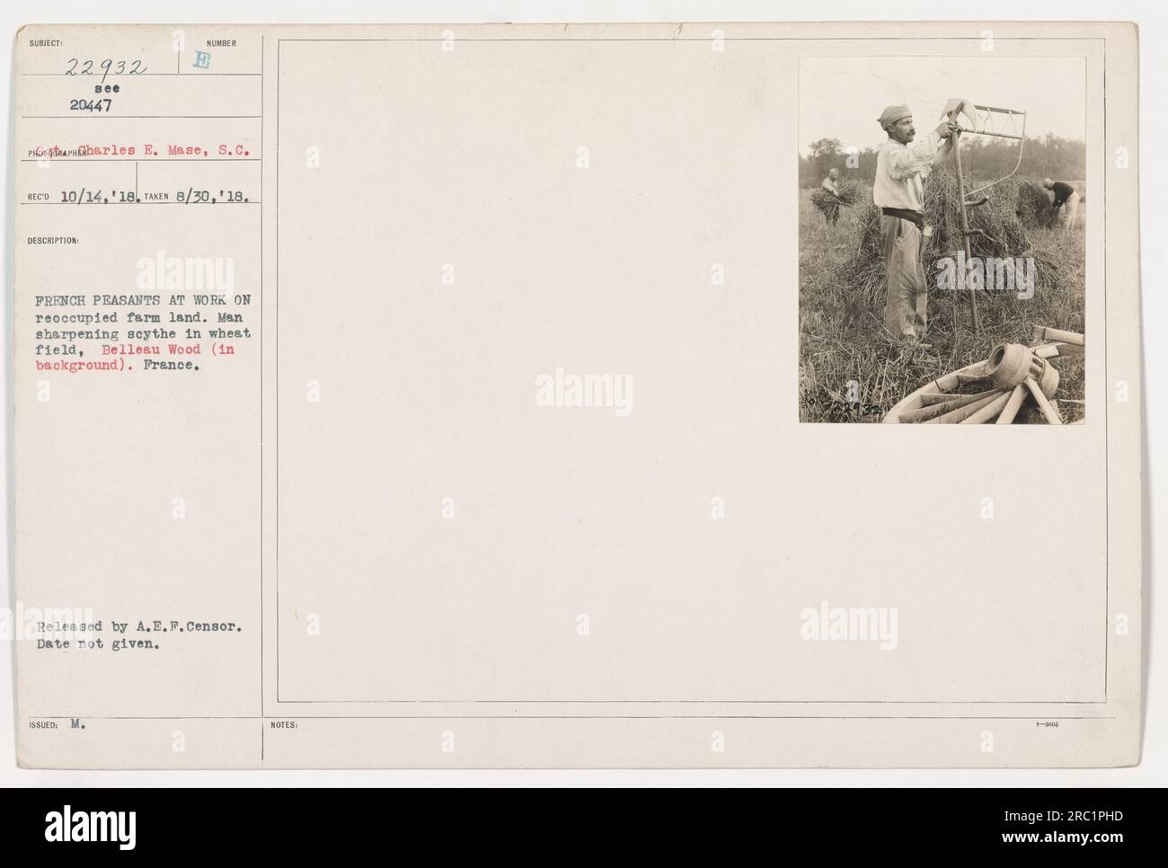 French peasants working on reoccupied farm land in Belleau Wood during ...