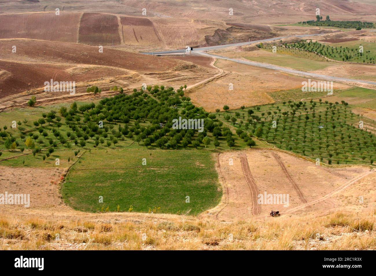 Tree plantations in the immediate vicinity of the Takht-e Soleyman ...