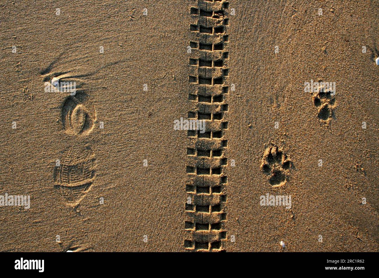 Three different tracks in the sand on Keramoti beach, Greece Stock ...