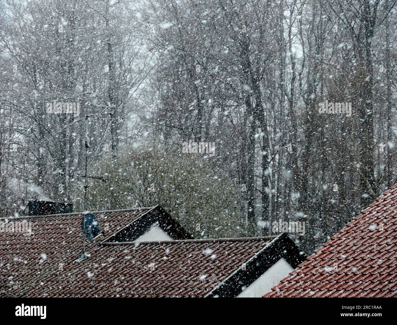 Heavy snowfall, house Stock Photo - Alamy