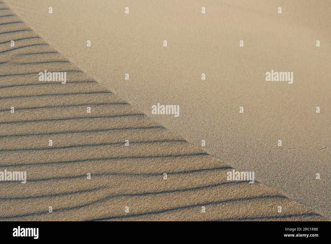 Patterns in the sand of the Oregon Sanddunes, USA Stock Photo - Alamy
