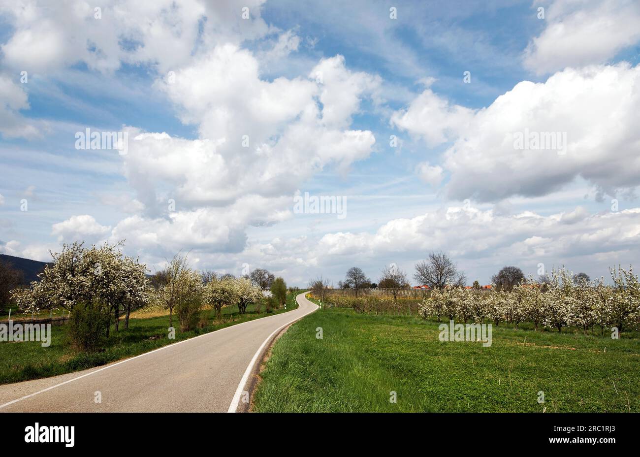 Country road in spring Stock Photo - Alamy