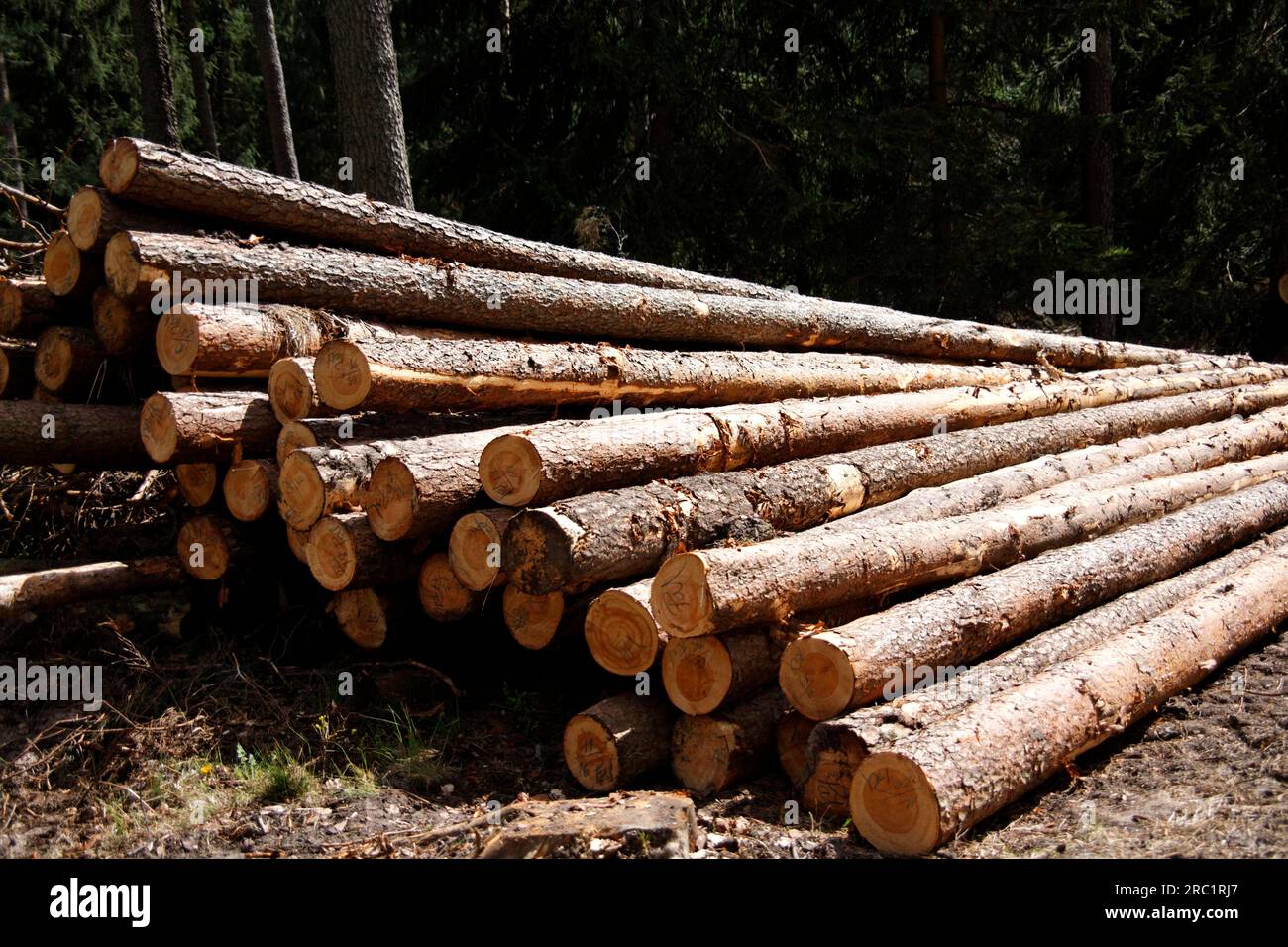 Logging track hi-res stock photography and images - Alamy
