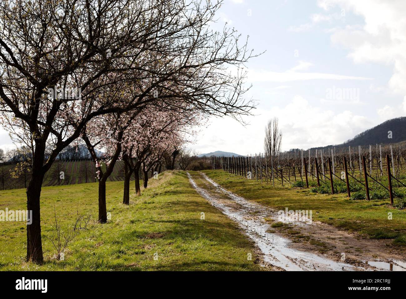Rainy april hi-res stock photography and images - Alamy