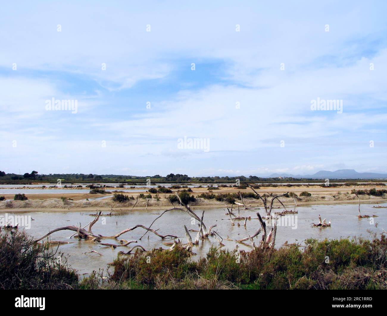 Salobrar salt flats Majorca Stock Photo - Alamy