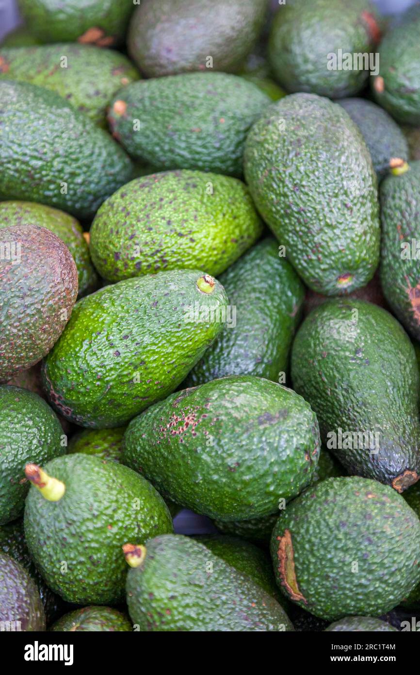 Booth avocado hi-res stock photography and images - Alamy