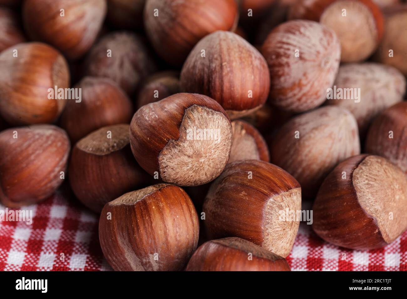 Hazel structure hi-res stock photography and images - Alamy