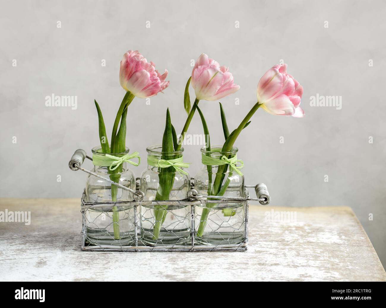 Clear punnet hi-res stock photography and images - Alamy