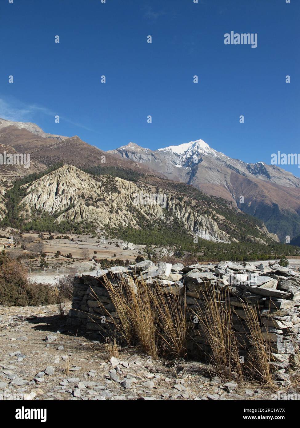 Pisan mountains hi-res stock photography and images - Alamy