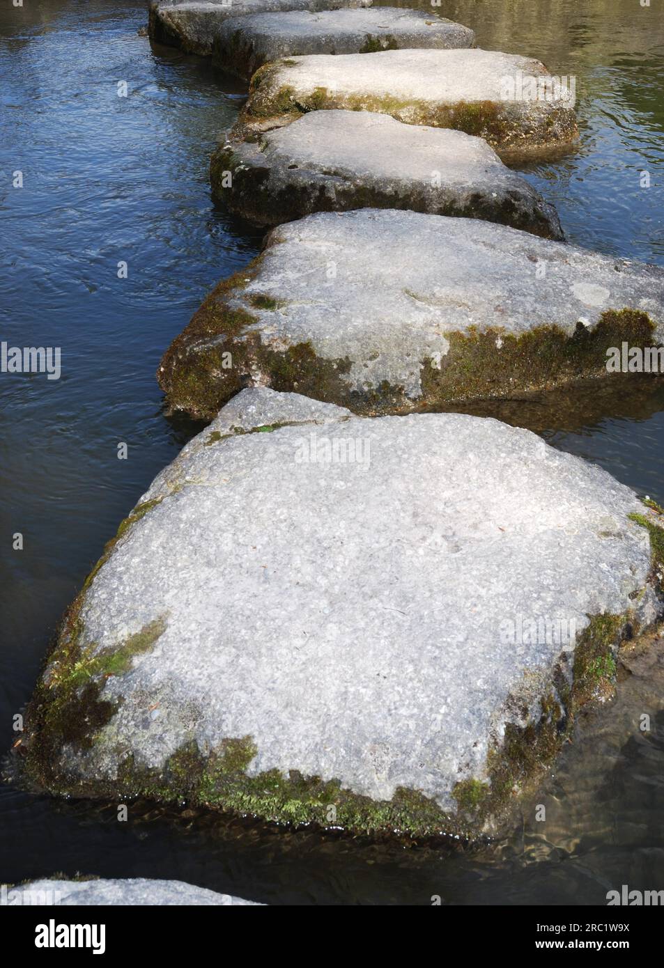 Stone path in a japanese water garden Stock Photo - Alamy