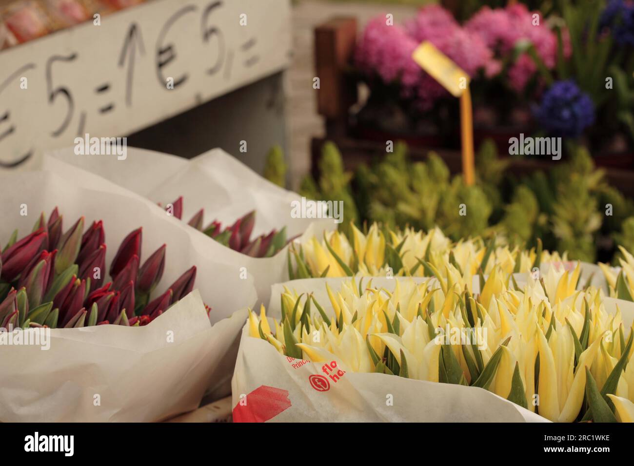 Tulip stand in the Netherlands Stock Photo - Alamy